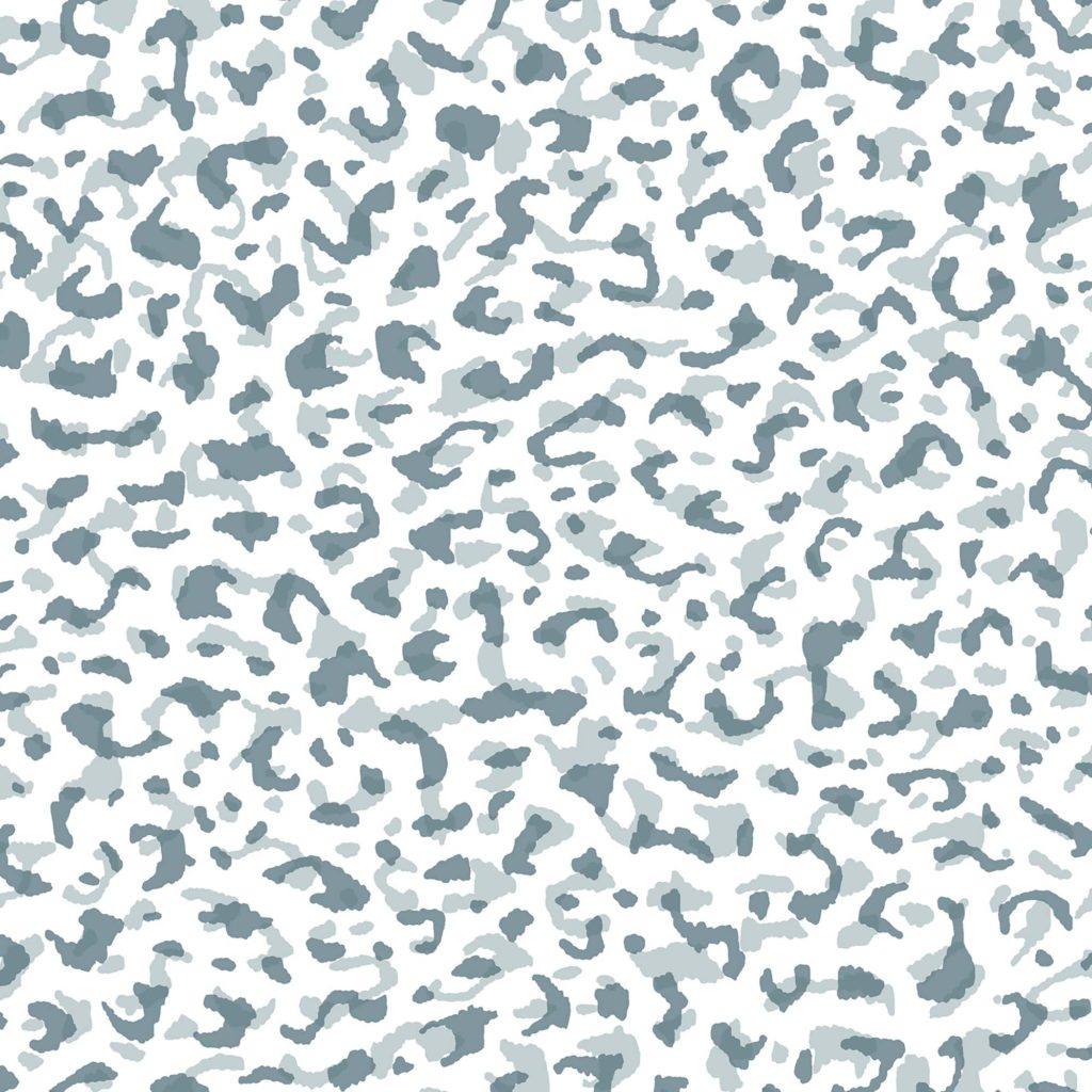 Leopardo - Peter Fasano